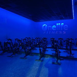 SHELLBANK FITNESS CENTER - Updated August 2025 - 22 Photos - 36 Sweeney ...