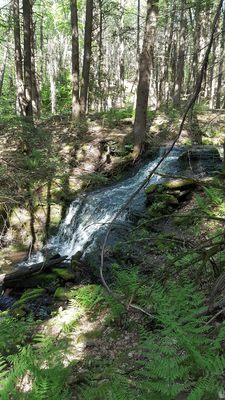 MOUNT TOBY STATE PARK - Updated October 2024 - 1-109 Reservation Rd ...