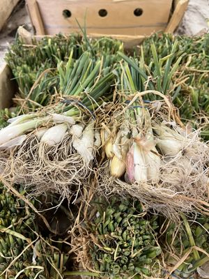 CARMICHAEL’S PRODUCE - Updated October 2025 - 23 Photos - 17137 S Mingo ...