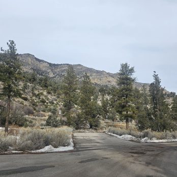 KYLE CANYON PICNIC AREA DAY USE - Updated October 2025 - 65 Photos & 17 ...