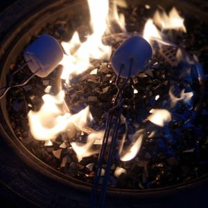 FERRARI FARMS - 103 Photos & 39 Reviews - 4701 Mill St, Reno, NV - Yelp