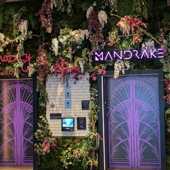 MANDRAKE ROOFTOP - Updated July 2025 - 707 Photos & 193 Reviews - 810 N ...