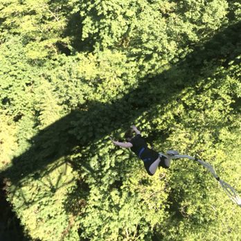 BUNGEE MASTERS - Updated July 2024 - 16 Photos & 22 Reviews - Fairview ...