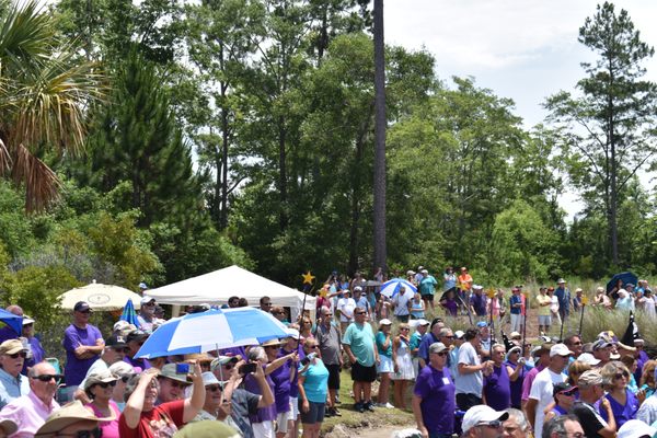 BRUNSWICK FOREST - Updated October 2025 - 17 Photos - 1007 Evangeline ...