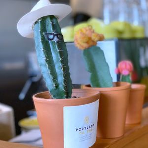 ROUNDABOUT BOOKS - Updated January 2026 - 56 Photos & 45 Reviews - 900 ...