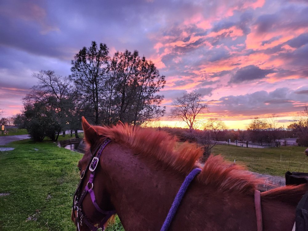 AMERICAN RIVER CANYON OVERLOOK PARK - 32 Photos - 855 Pacific Ave ...