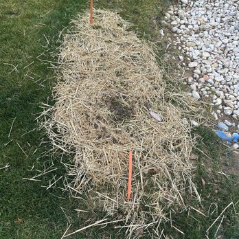 RIPPLE FIBER - Updated December 2025 - 14 Photos & 36 Reviews - 6000 ...