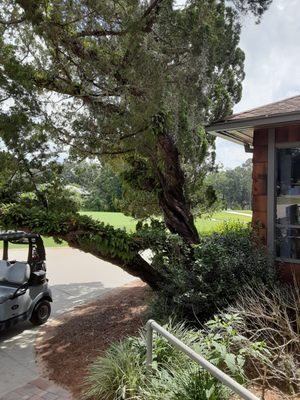 HILAMAN GOLF COURSE - Updated August 2025 - 10 Photos & 11 Reviews ...