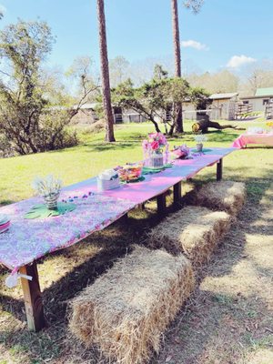 GREY GOOSE FARM - Updated January 2025 - 13 Photos - 3915 CR 210 W, St ...