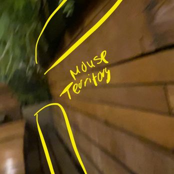 Photos of STARBELLY - Updated August 2024 - 2320 Photos & 2369 Reviews ...