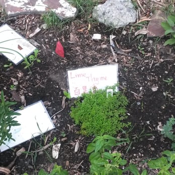 DANNY WOO INTERNATIONAL DISTRICT COMMUNITY GARDEN - Updated May 2026 ...