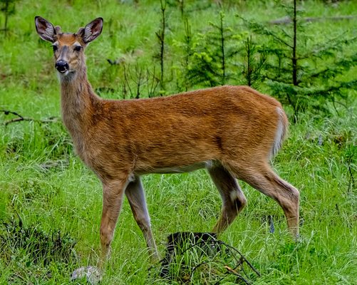 TURNING WINDS - Updated December 2025 - 26 Photos & 25 Reviews - 31733 ...