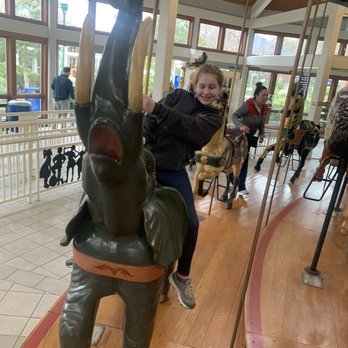 CAROUSEL AT COOLIDGE PARK - Updated January 2026 - 110 Photos & 34 ...