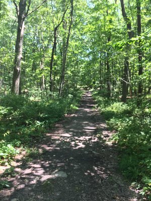 TOP COTTAGE - Updated May 2025 - 25 Photos - Hyde Park, New York ...