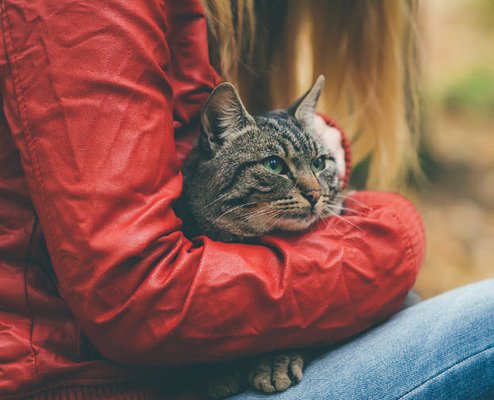 VCA CANADA CENTRAL VICTORIA VETERINARY HOSPITAL - Updated December 2025 ...