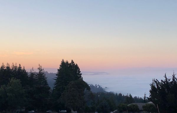 MOUNT MADONNA CENTER - 34 Photos & 82 Reviews - Yoga - 445 Summit Rd, Watsonville, CA - Phone ...