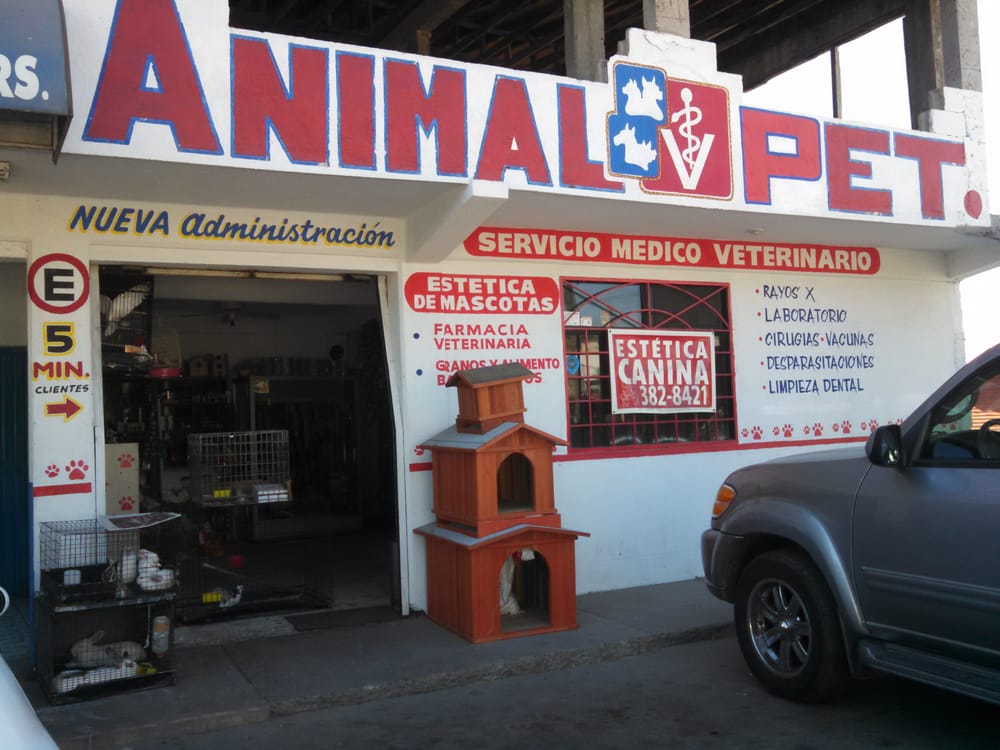 ANIMAL PET - Updated June 2025 - Paseo del guaycura S/N, Tijuana, Baja ...
