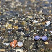 HARBORVIEW PARK - 54 Photos & 22 Reviews - Parks - 1621 W Mukilteo Blvd ...