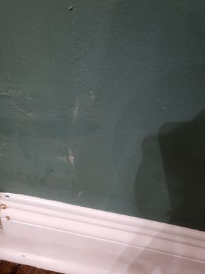 BMS CAT - Updated October 2025 - 21 Photos & 39 Reviews - 315 N Great ...