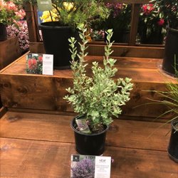 GREATER COLUMBUS CONVENTION CENTER PARKING GARAGE - 43 Photos - 400 N ...