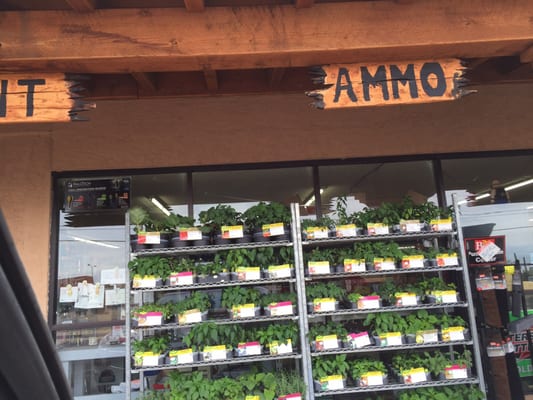 STEWART HARDWARE - Updated January 2026 - 2050 W Wickenburg Way ...