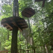 GO APE ZIPLINE & ADVENTURE PARK - 126 Photos & 83 Reviews - 5537 ...