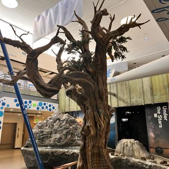 THE DISCOVERY - Updated July 2025 - 591 Photos & 275 Reviews - 490 S ...