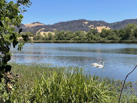 SPRING LAKE REGIONAL PARK - 422 Photos & 134 Reviews - Parks - 393 ...