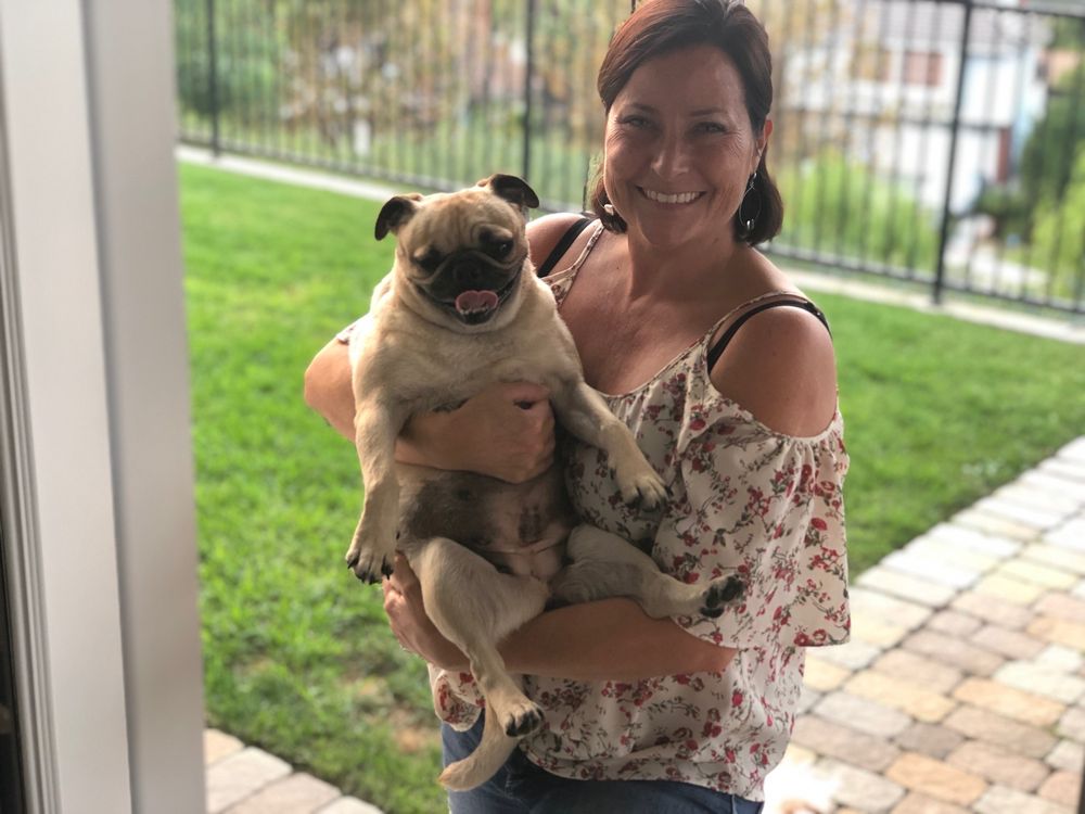 BUBBA’S HUG A PUG RESCUE - Updated August 2024 - 32 Photos & 30 Reviews ...