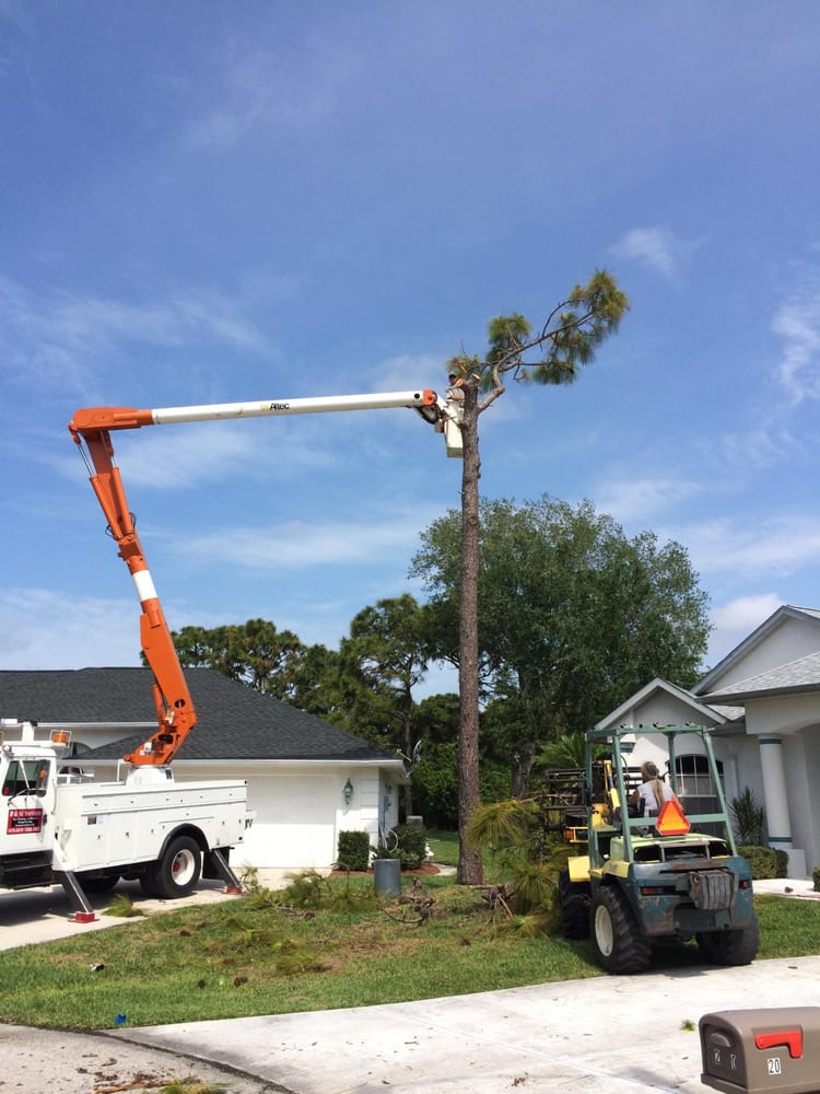 JAMES TREE EXPERTS - Updated February 2025 - 200 Photos - Englewood ...