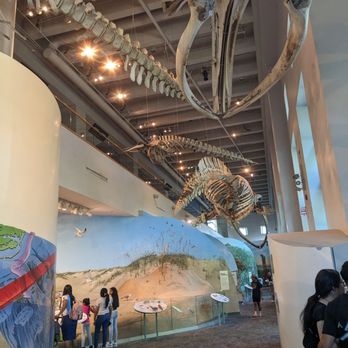 NORTH CAROLINA MUSEUM OF NATURAL SCIENCES - Updated August 2024 - 1415 ...