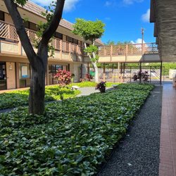 ESTATE PLANNING CONSULTANTS OF HAWAII - 30 Photos - Financial Advising ...