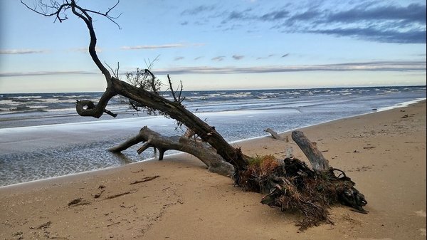 SOUTHWICK BEACH STATE PARK - Updated July 2024 - 89 Photos - Southwick ...