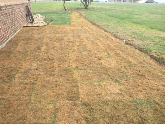 KING RANCH TURFGRASS - Updated December 2025 - 26 Photos & 65 Reviews ...