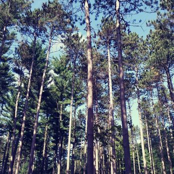 KETTLE MORAINE STATE FOREST - Updated January 2026 - 126 Photos & 48 ...