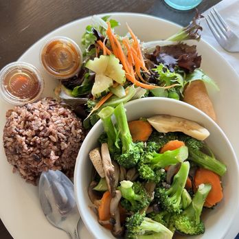 LOTUS VEGAN - Updated December 2025 - 800 Photos & 1388 Reviews - 4715 ...