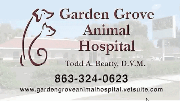 GARDEN GROVE ANIMAL HOSPITAL - Updated October 2025 - 22 Photos & 10 ...