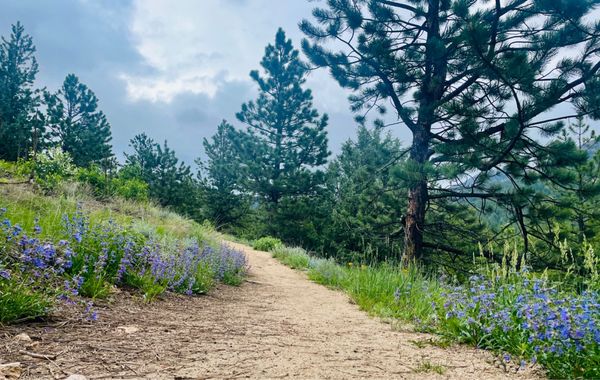 WALKER RANCH PARK - Updated August 2025 - 48 Photos & 15 Reviews - 7842 ...