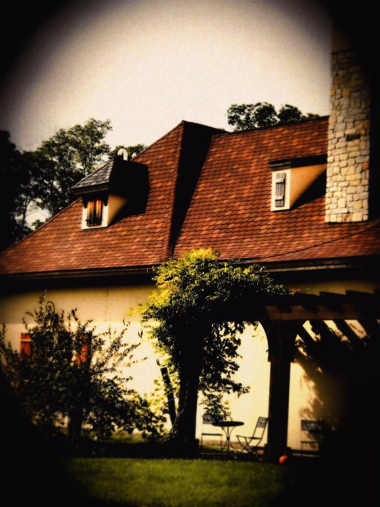 MAGNUS RIDGE WINERY - 176 Photos & 110 Reviews - 6148 State Hwy 14 ...