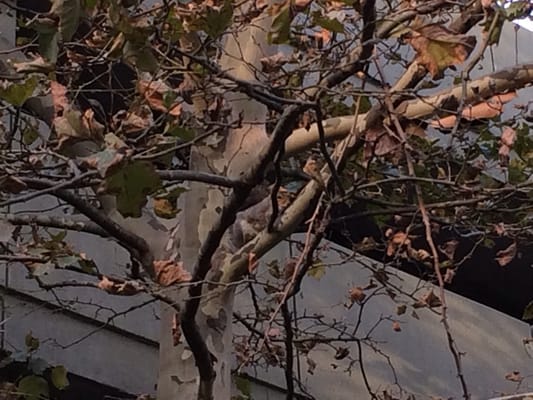 SPRING CREEK TOWERS - Updated August 2025 - 17 Photos - 1255 ...