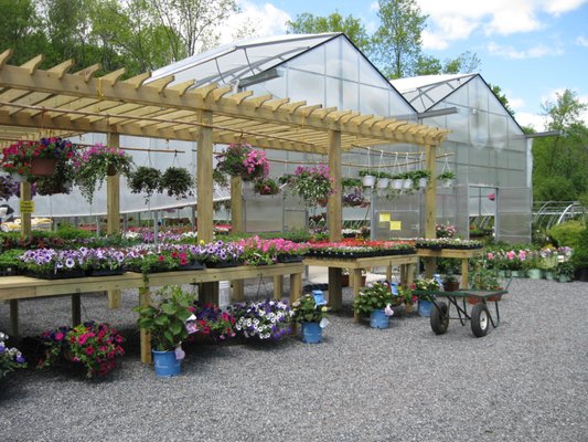 KENT COUNTRYSIDE NURSERY - 14 Photos - 61 Ludington Ct, Carmel, New ...