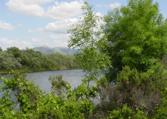 TULE PONDS AT TYSON LAGOON WETLAND CENTER - Updated October 2025 - 29 ...