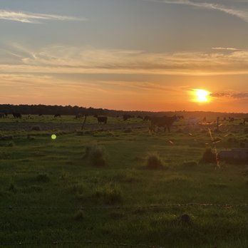 CAMP MARS - Updated January 2026 - 35 Photos & 27 Reviews - 326 Goff Rd ...