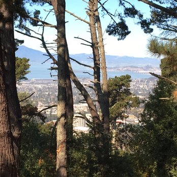 BERKELEY FIRE TRAILS - Updated September 2025 - 459 Photos & 109 ...