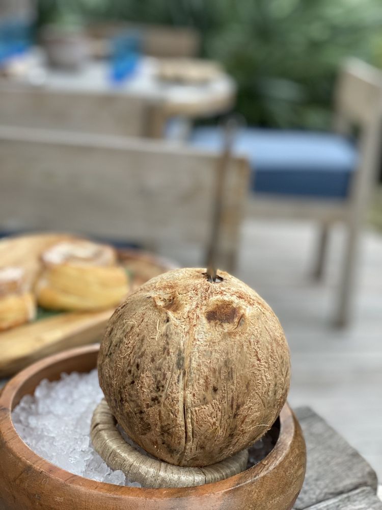 TALA BEACH - Updated July 2025 - 61 Photos & 16 Reviews - 2341 Collins ...