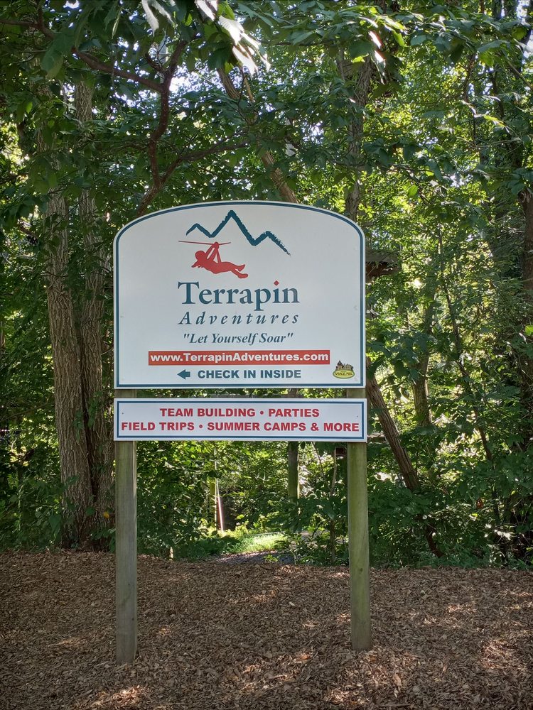 TERRAPIN ADVENTURES - Updated August 2025 - 82 Photos & 111 Reviews ...