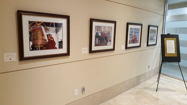 ALVIN SHERMAN LIBRARY - Updated 2024 - 71 Photos & 25 Reviews - 3100 ...