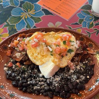 EL MOOSE - Updated January 2025 - 506 Photos & 1033 Reviews - 5242 ...