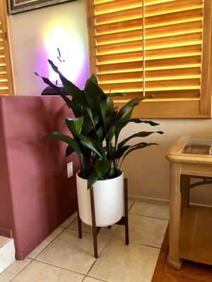 LÉON & GEORGE - 15 Photos & 23 Reviews - Los Angeles, California ...