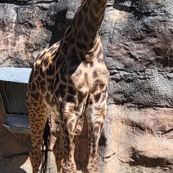 OREGON ZOO - Updated October 2025 - 3647 Photos & 962 Reviews - 4001 SW ...